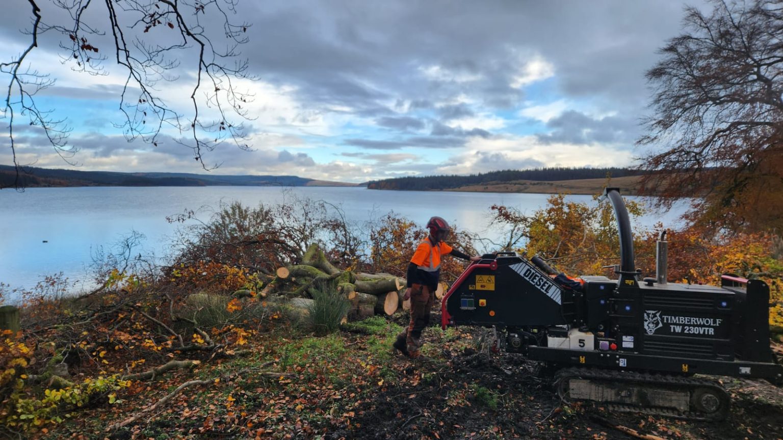 Olivers News - Oliver’s Tree Services Ltd